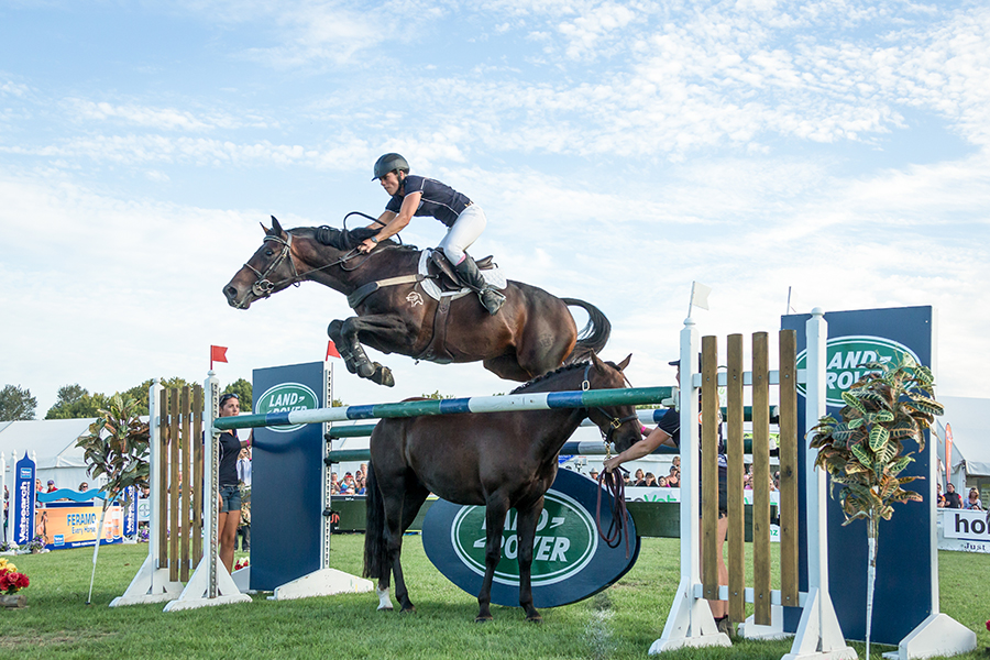 Road To The Horse | Vicki Wilson